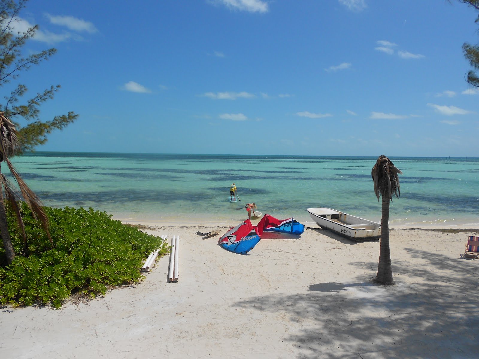 Salt Life Blog: Photos from the Salt Life!