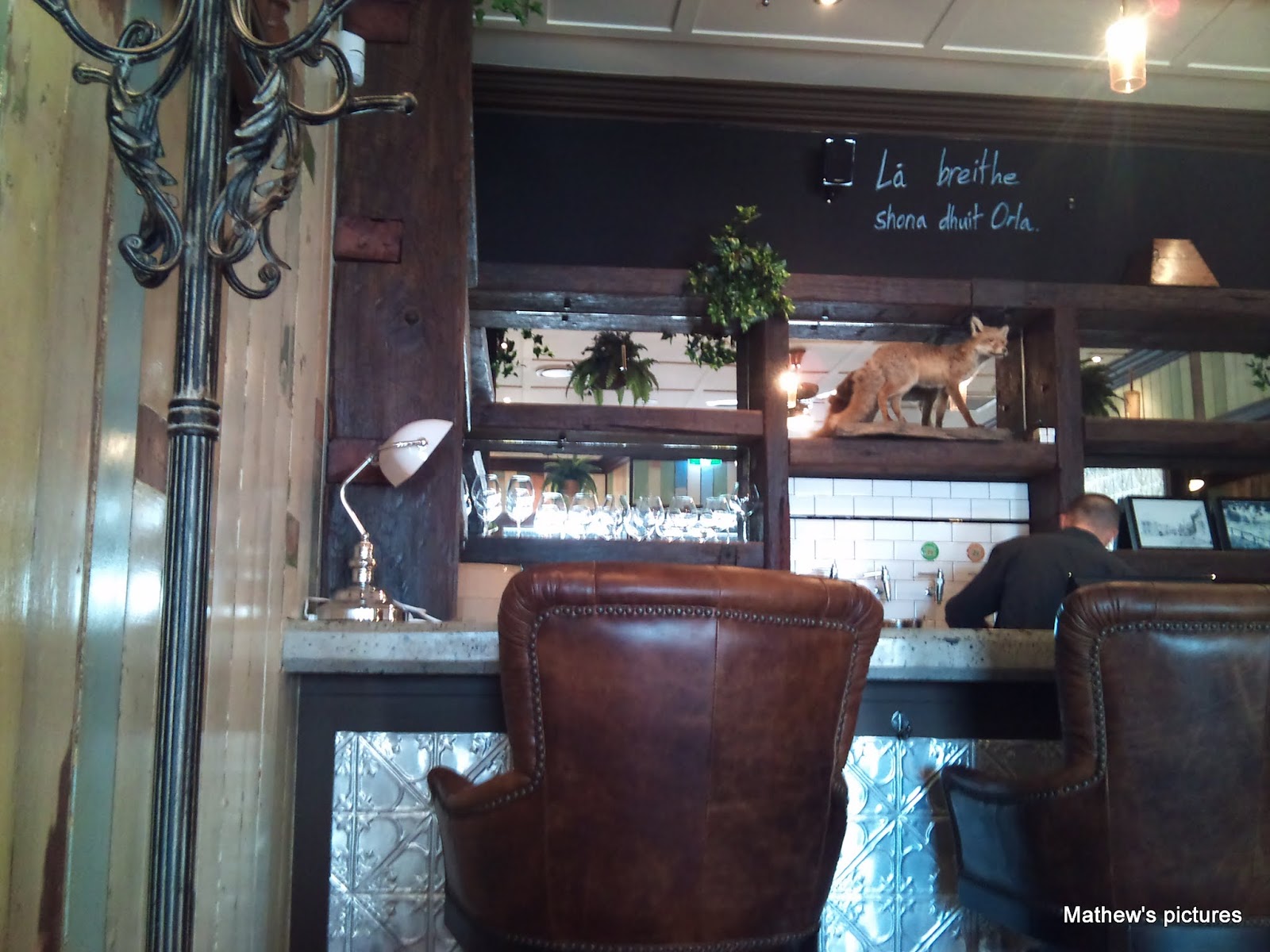 Restaurant Giants: The Foxy Bean Cafe @ East Brisbane