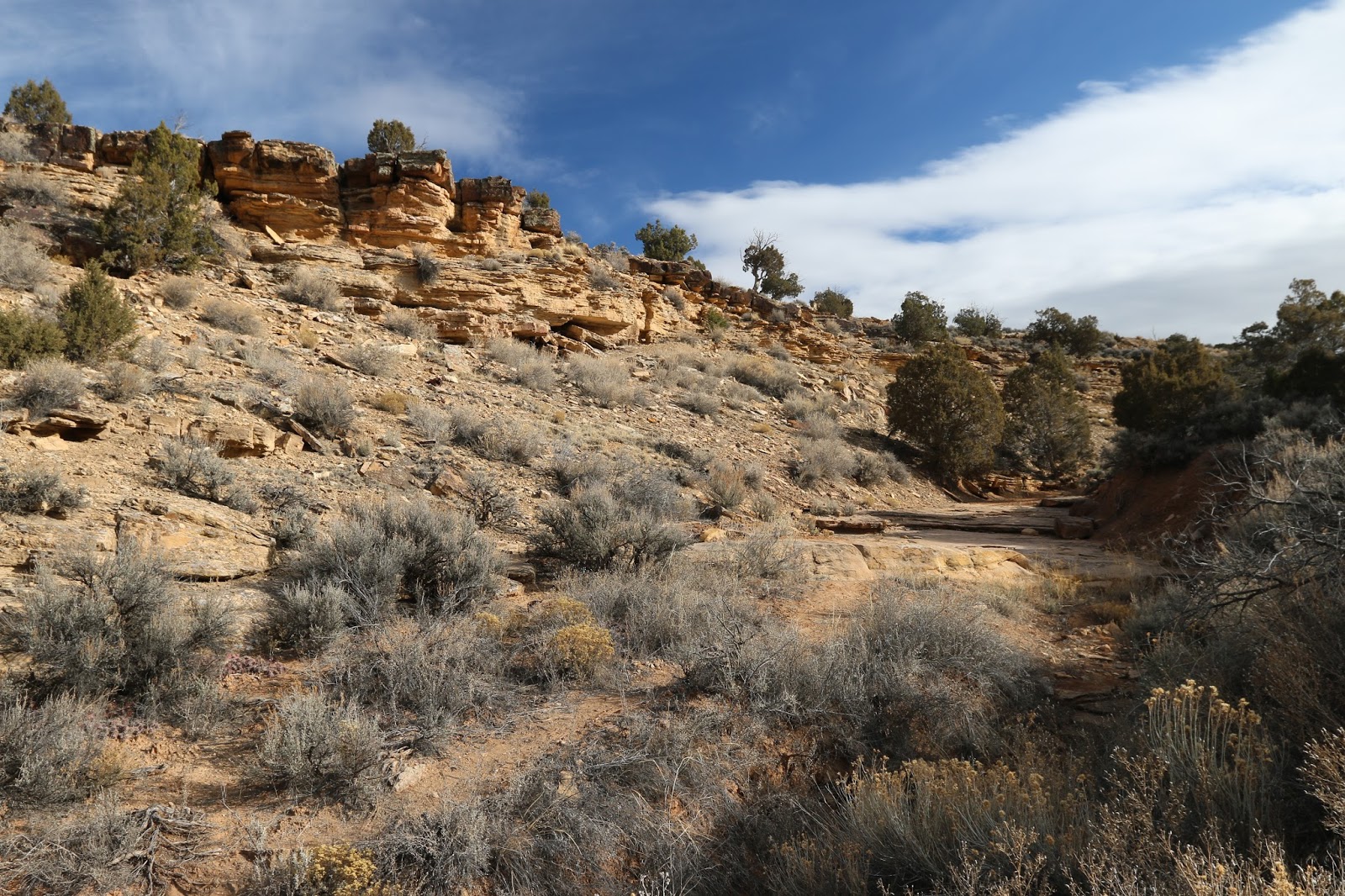 gjhikes.com: Buzzard Gulch Trails (9)