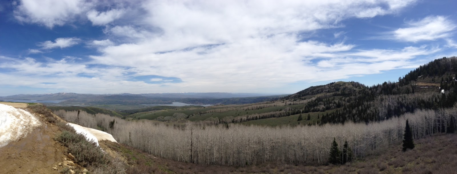 The Adventures of Tash Point Whoa...