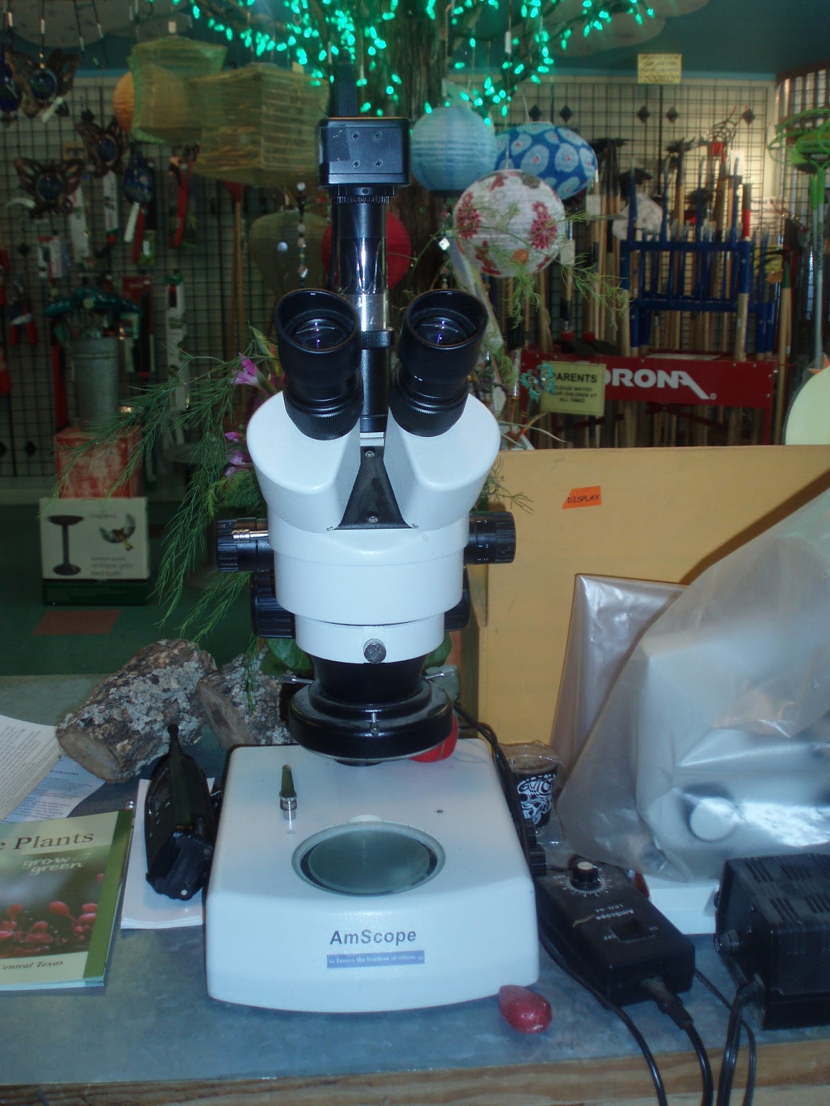 The Redneck Hippie: A Day at Work