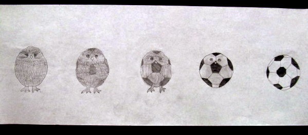 Ms. Eaton's Phileonia Artonian: Metamorphosis- Object to Animal