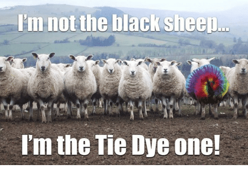 Analytical Ramblings of a Scientific Mind