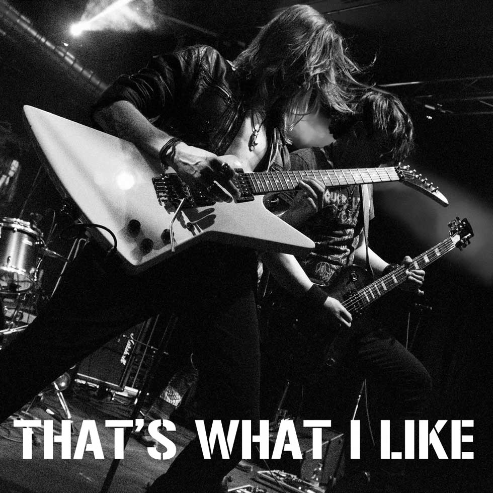 HEAVY PARADISE, THE PARADISE OF MELODIC ROCK!: REVIEW : King Zebra ...