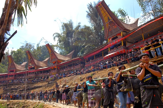 Rambu Solo: Ritual Pemakaman Orang Toraja - Toraja Tourism