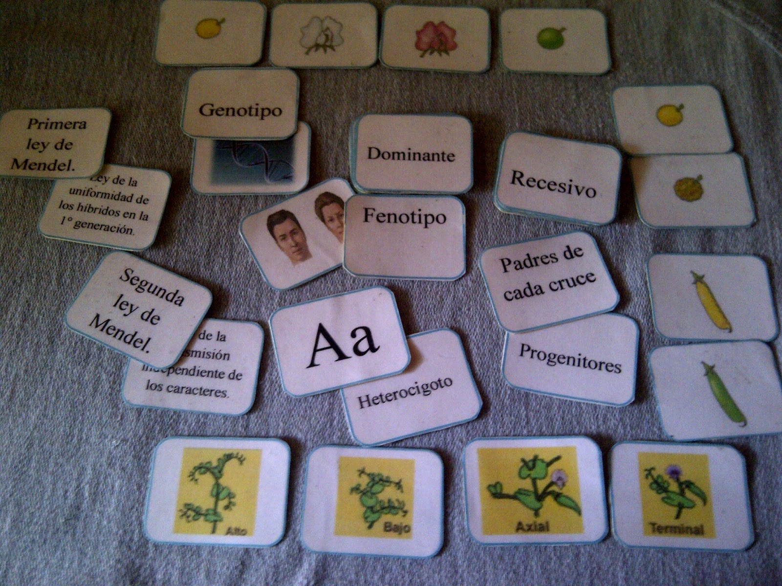 jugando para aprender : febrero 2013