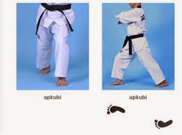 New Tae Kwon Do: Seogi (Kuda-kuda) dalam Taekwondo