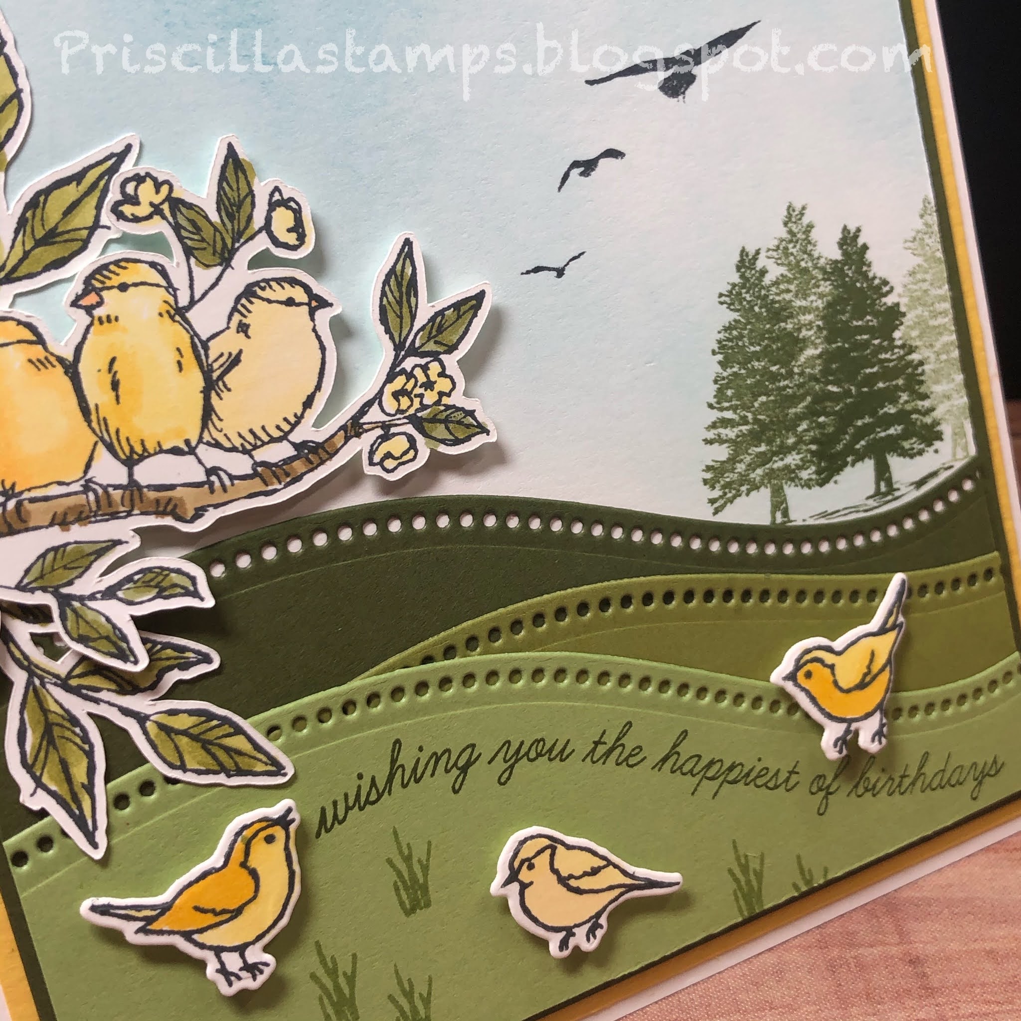 Priscilla's Papercrafts: Bird Birthday