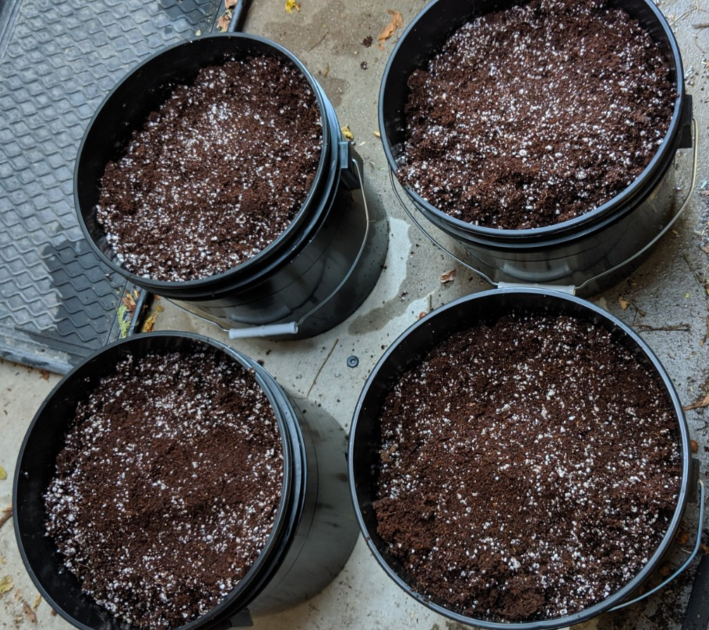 Hempy Buckets: A Safe and Simple Alternative for the Disabled Grower