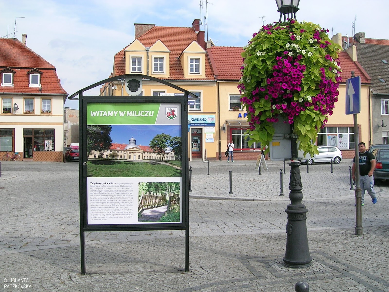 Polski uroków odkrywanie: Dolnośląskie: Milicz - Aleja Gwiazd Siatkówki ...