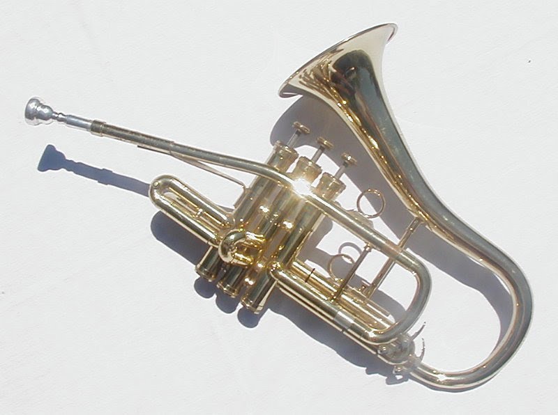 SaxSatierf: instrumentos musicais exoticos