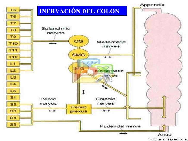 Recursos Bibliográficos y Novedades Médicas: ALGUNAS REFERENCIAS ...