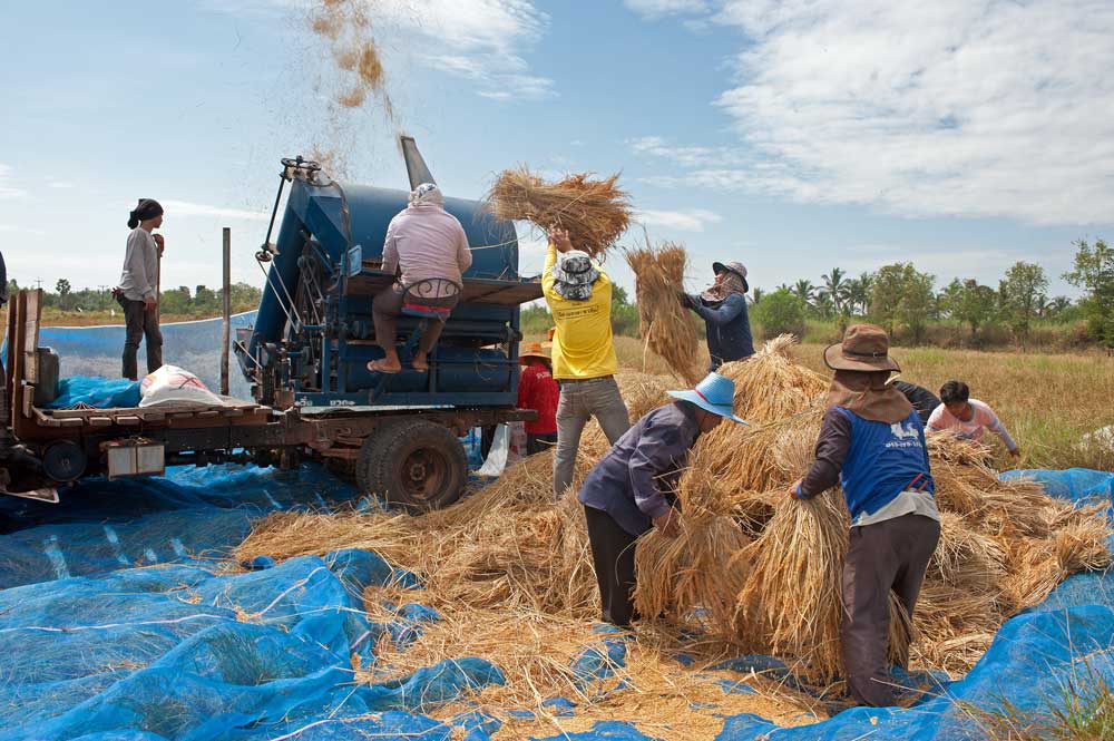 Allen's World: Threshing Time