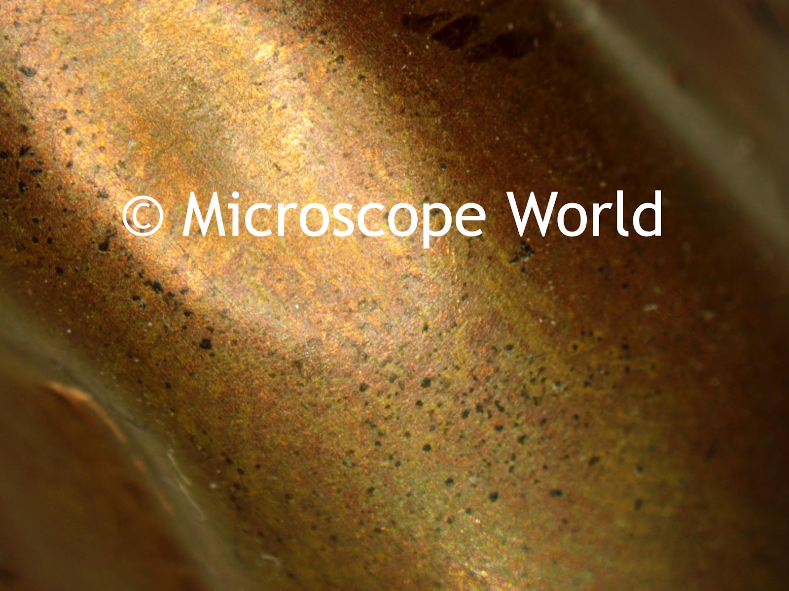 Microscope World Blog: Copper Under the Microscope