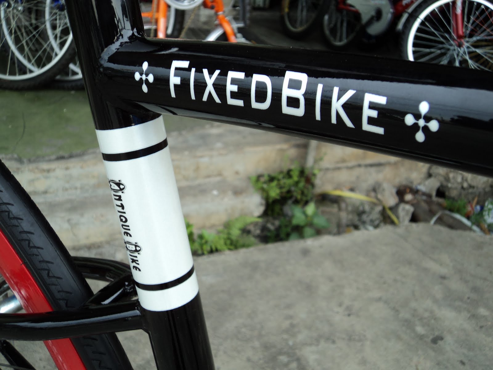 The Right Bike Store: 700C Imported New Fixed Gear /Fixie Bicycle - XDS