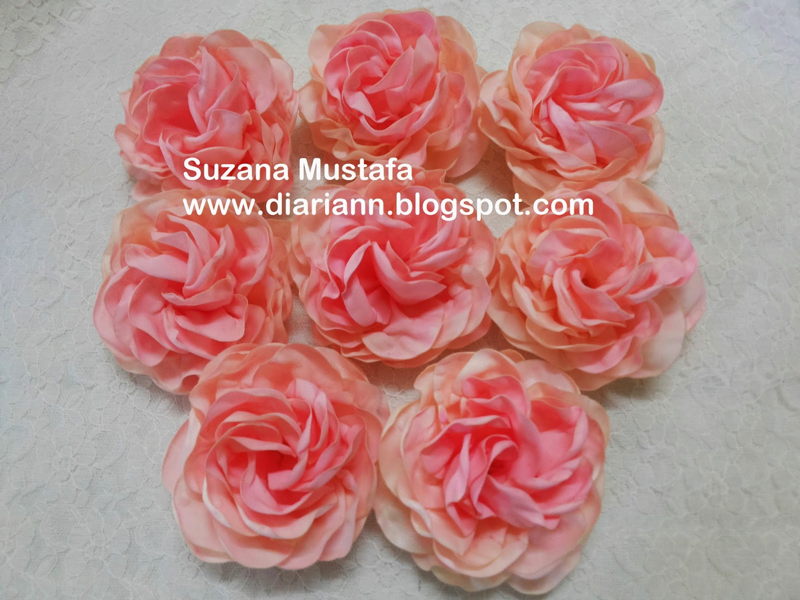 Suzana Mustafa: MY WORK IN PROGRESS - AUGUSTA ROSE