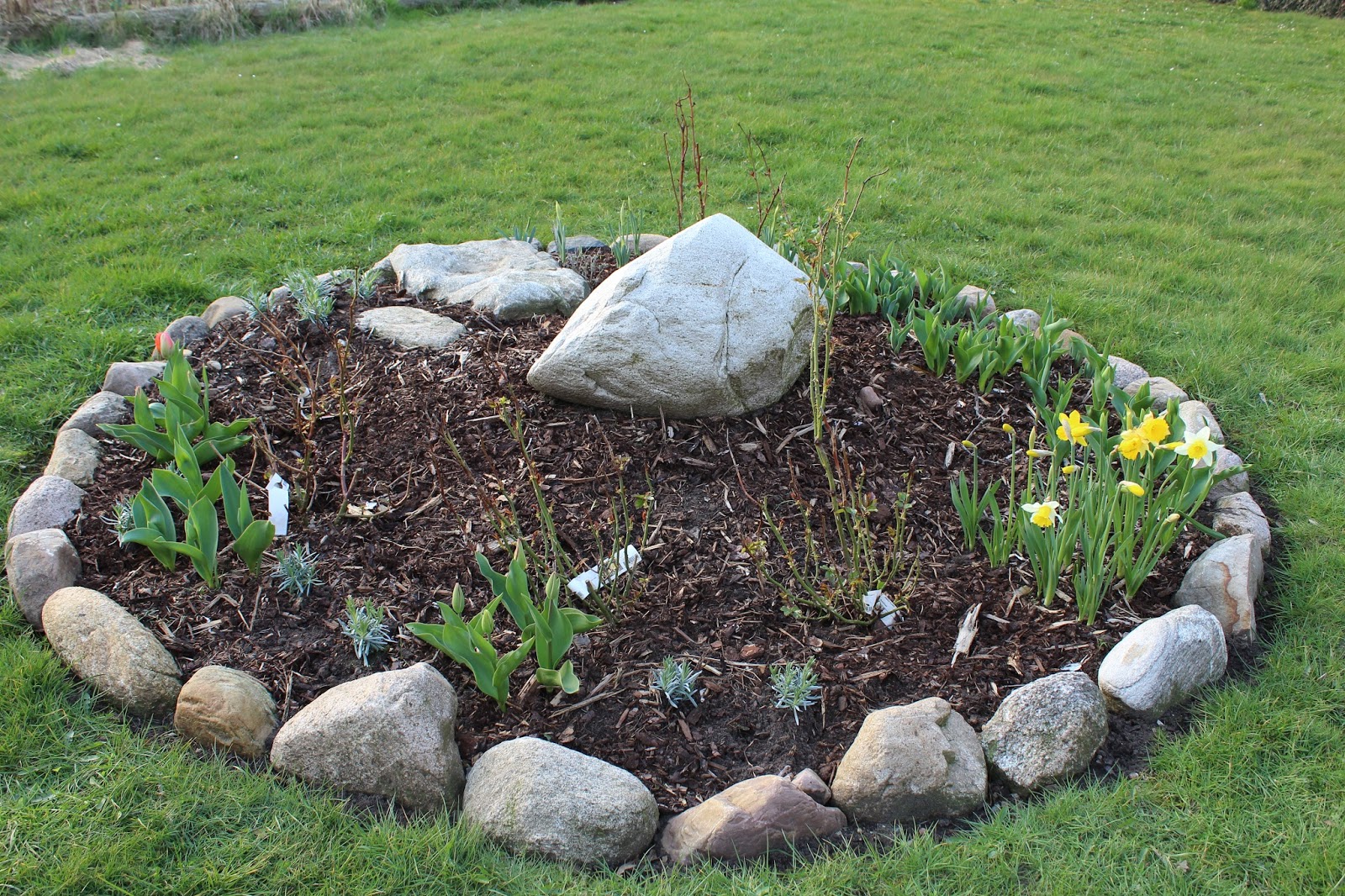 Aavangs have: Den hvide sten