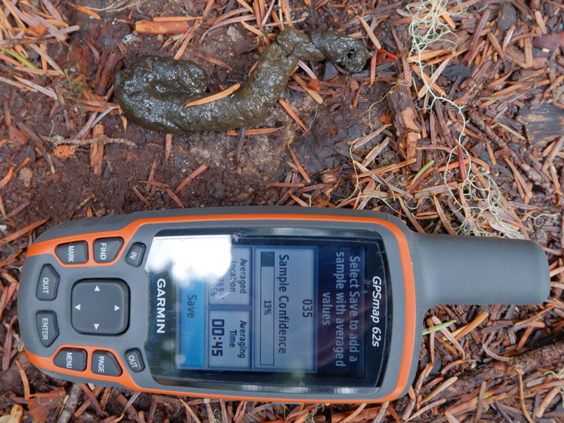 Cascades Carnivore Project: What does marten scat look like?