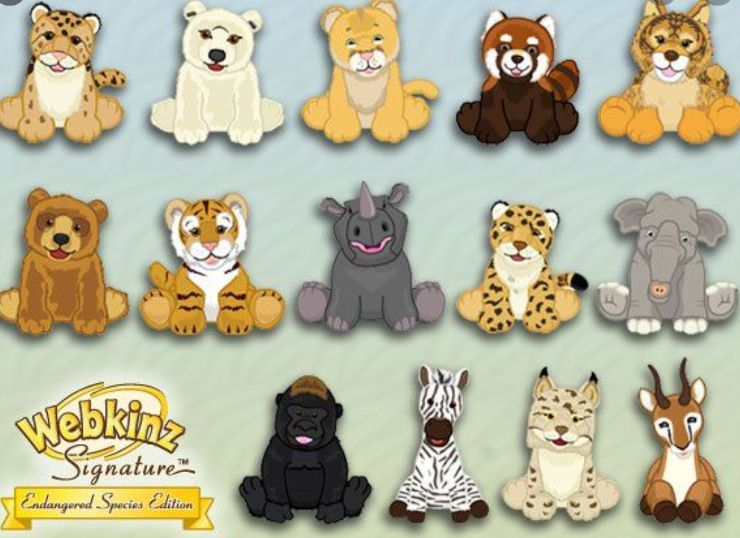 Pippa's Webkinz Blog: Guide To Adopting Webkinz Pets