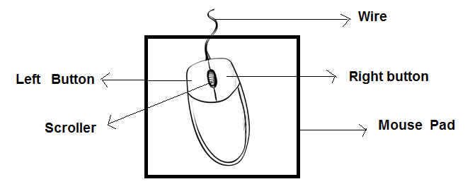 SCS Junior - Computer Classes: Class 2 Week 5 Theory 1