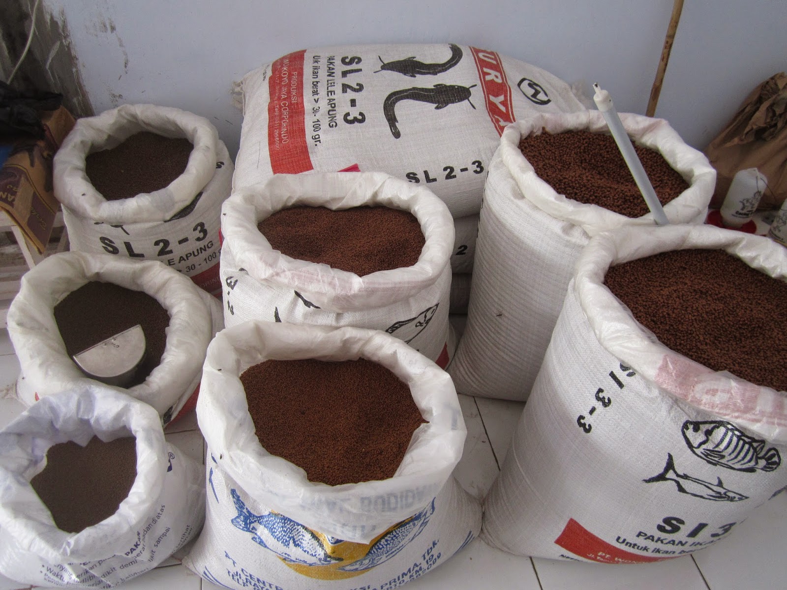 Mega Raya Poultry Shop: Toko Pakan Ternak Poultry Shop di Banyuwangi