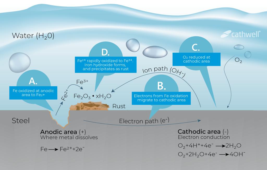 Corrosion Testing & Rate Estimator - Pharma Engineering