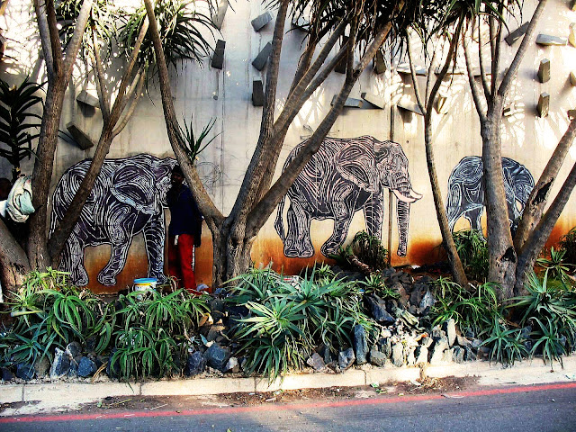 CANVAS CITY: MOOK LION ~ @PeterJohn