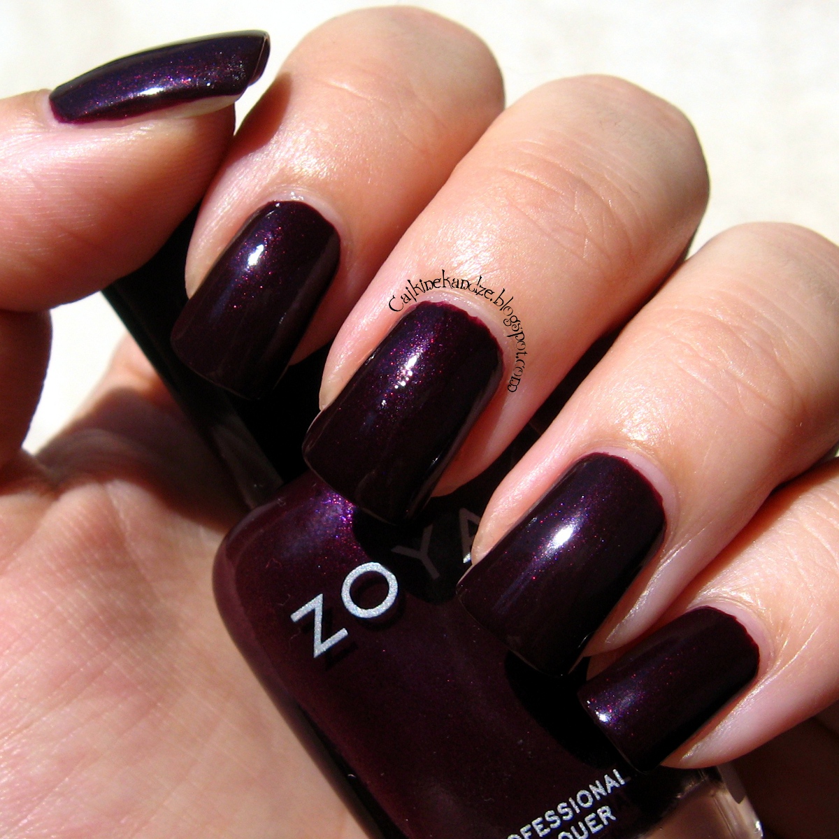 Zoya Sloane | Cajkine kandže i sve njihove boje