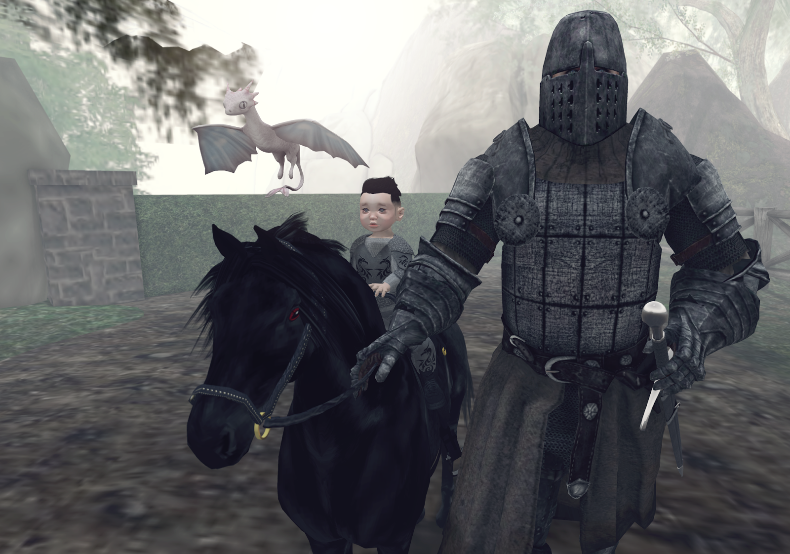 Pockets Full Of Pixels: Knight in training