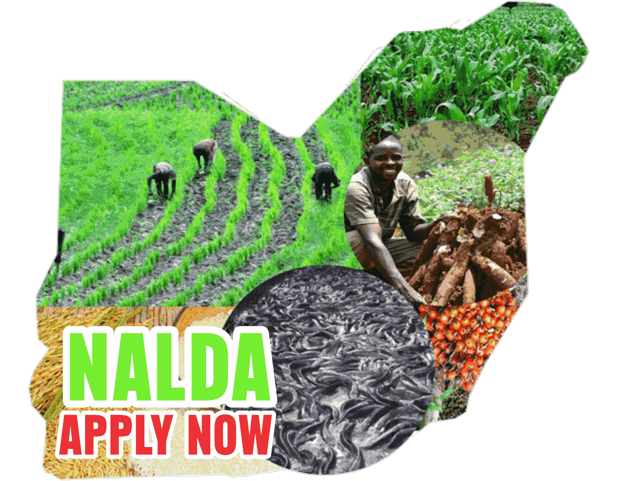 NOTICE: NALDA Portal Is Now Live - ArewaPc - Latest Update on Pc ...