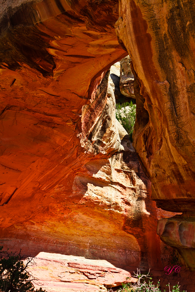 See What I See: YC 镜中的 Capital Reef and Arches NP