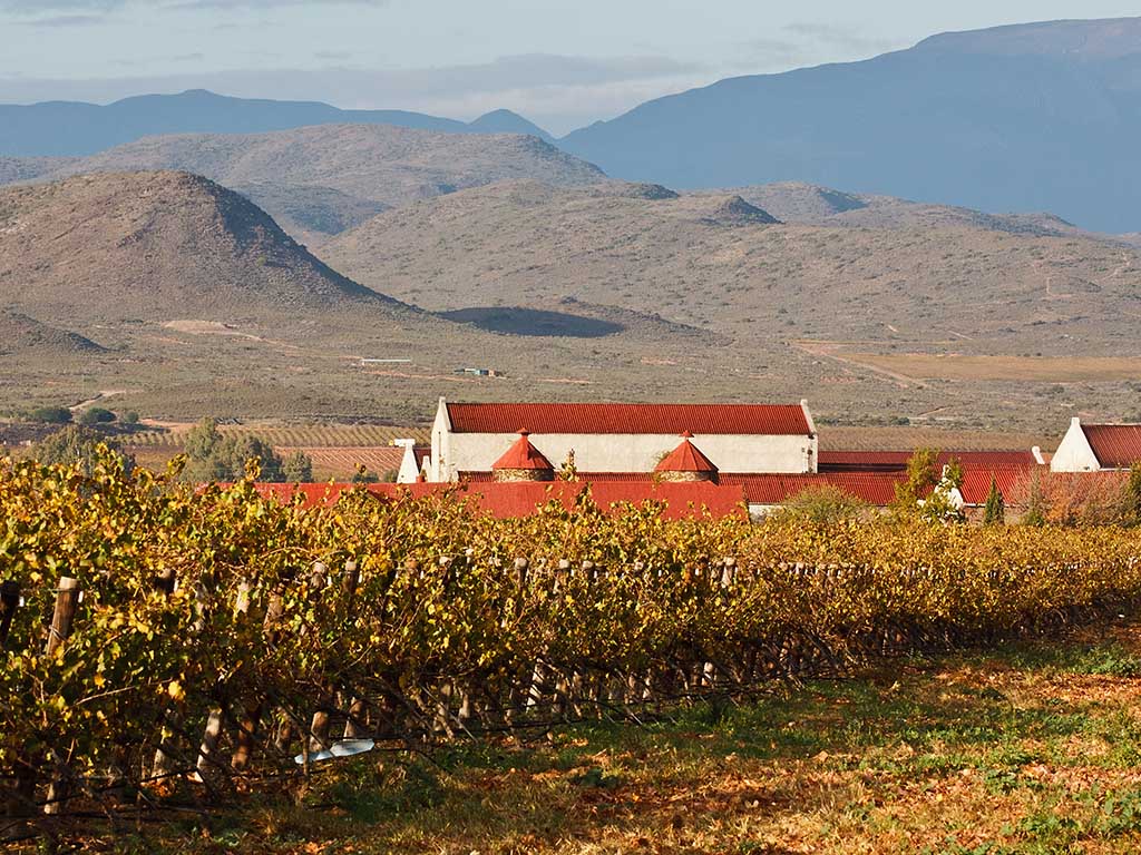 The Wines of Springfield Estate. Unfiltered. Unfined. Oozing Class!