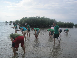 Philippine Responsible Tours: Calatagan Mangrove Tree Planting