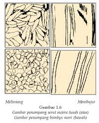 Pengetahuan Bahan Tekstil - SERAT PROTEIN