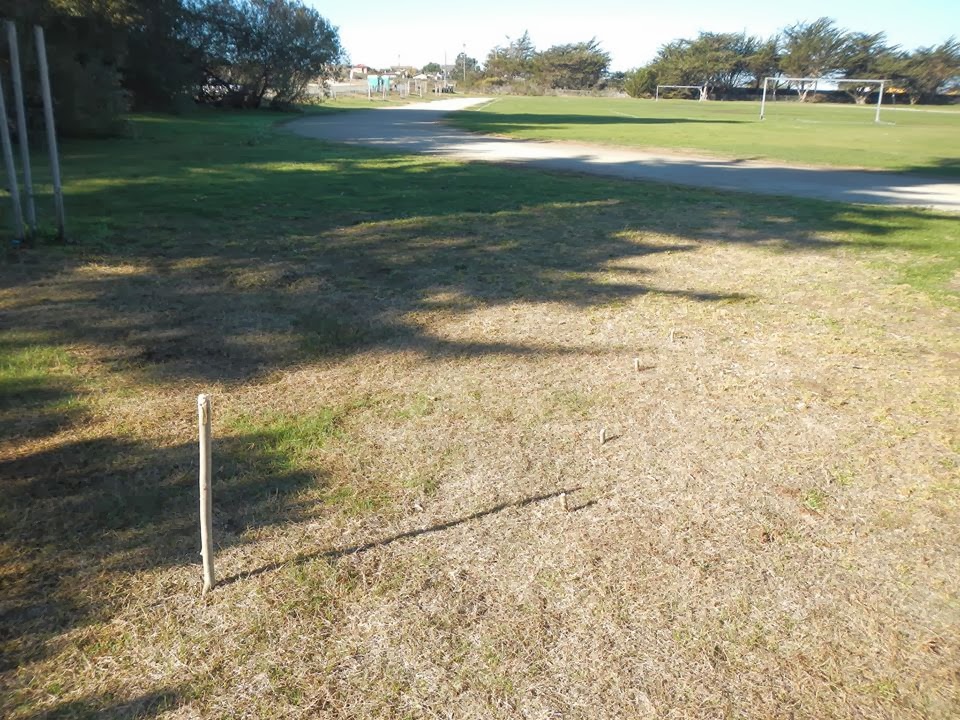 Goblin Ranger: Pass your trail knowledge on to the next generation!