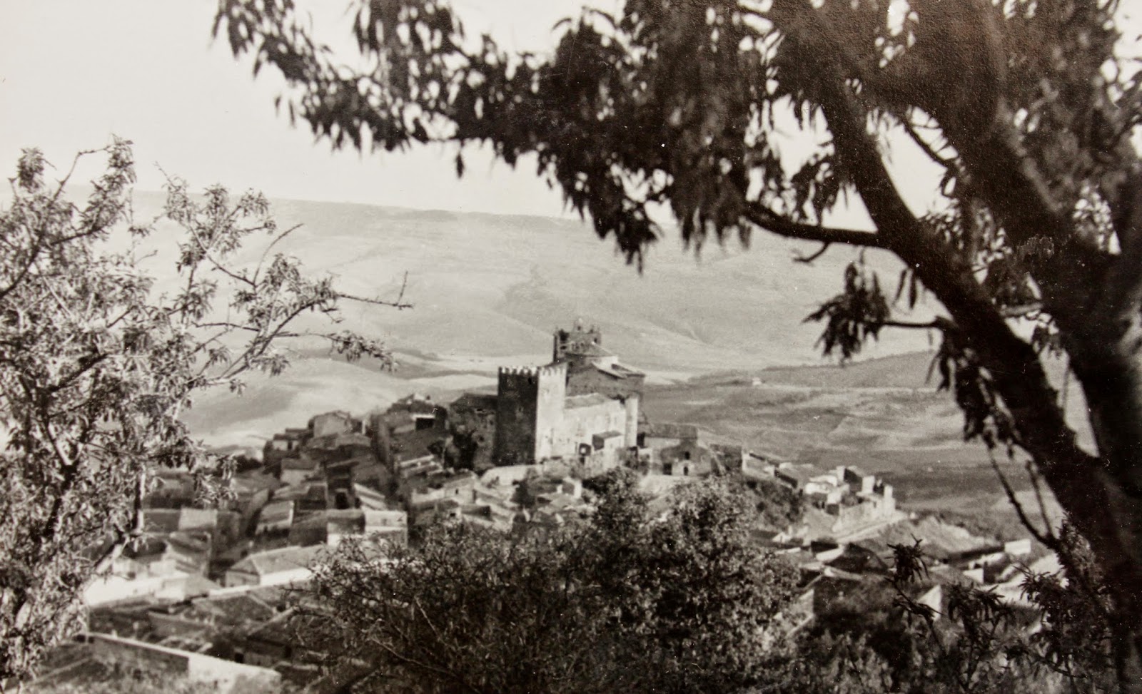 ReportageSicilia: ALTRI RICORDI DI SALAPARUTA