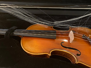 The Violin Shop: Bow Bugs- Little Bugs That LOVE Bow Hair