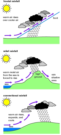 Different Types of Rainfall - Explained |APPSC Material, Group 1 Group ...