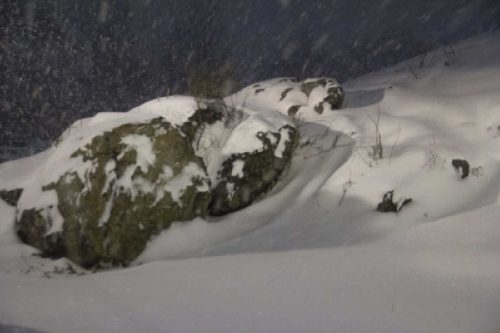 Snow Rock |George Reid Photography