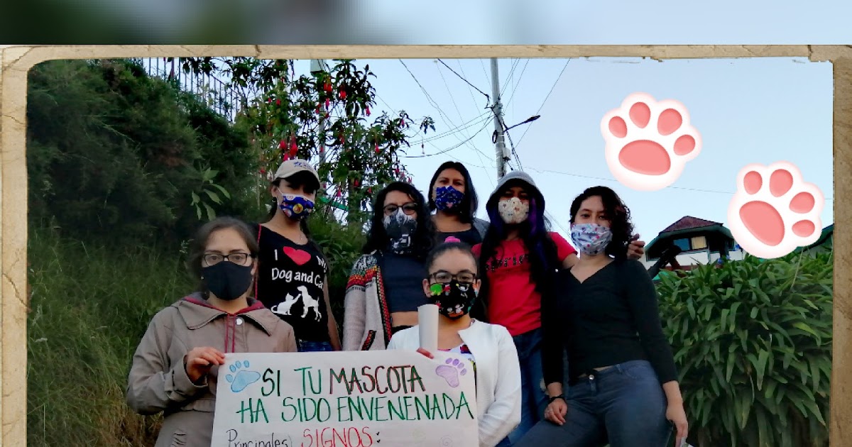 MUJERES: DE LO PRIVADO A LO PÚBLICO: MUJERES FILÁNTROPAS: FUNDACIÒN ...