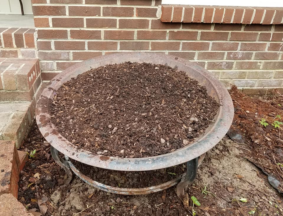 In the Garden With Sow-n-Sow ...