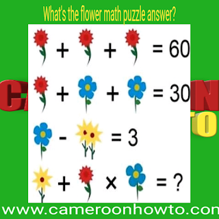 red blue and yellow flower math puzzle answer