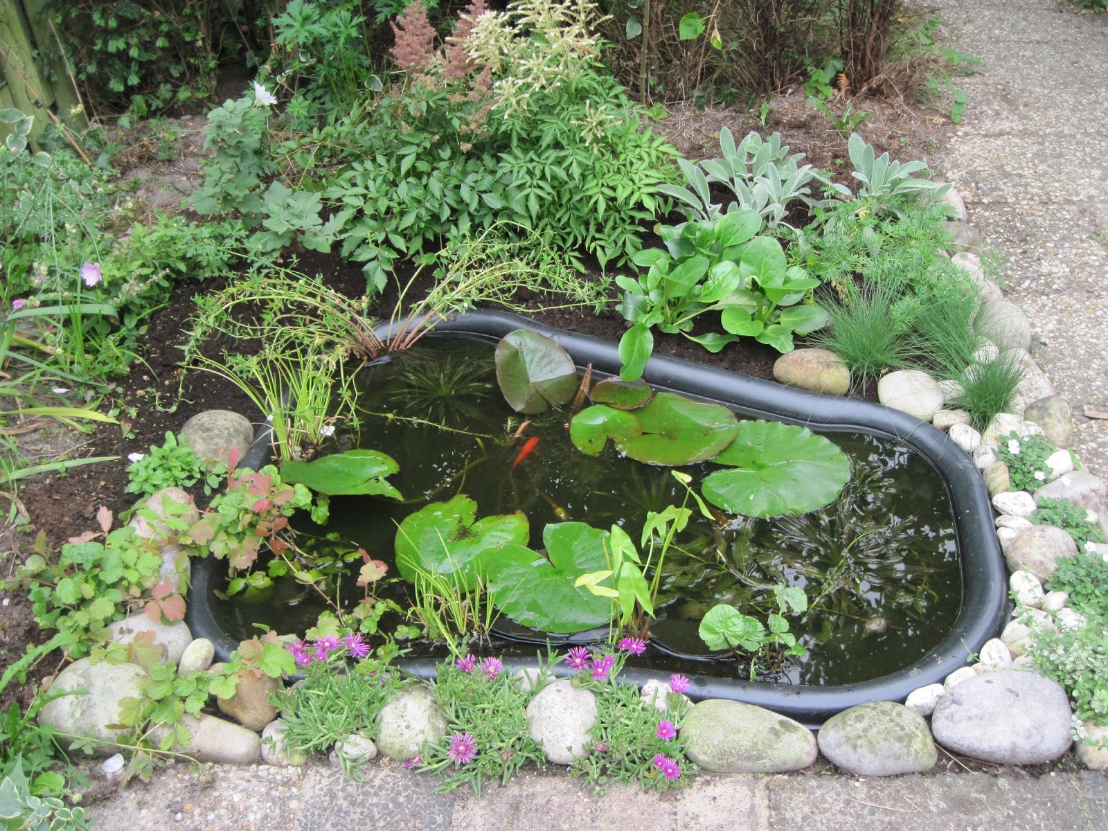 Quiltjip: Vijver afwerking