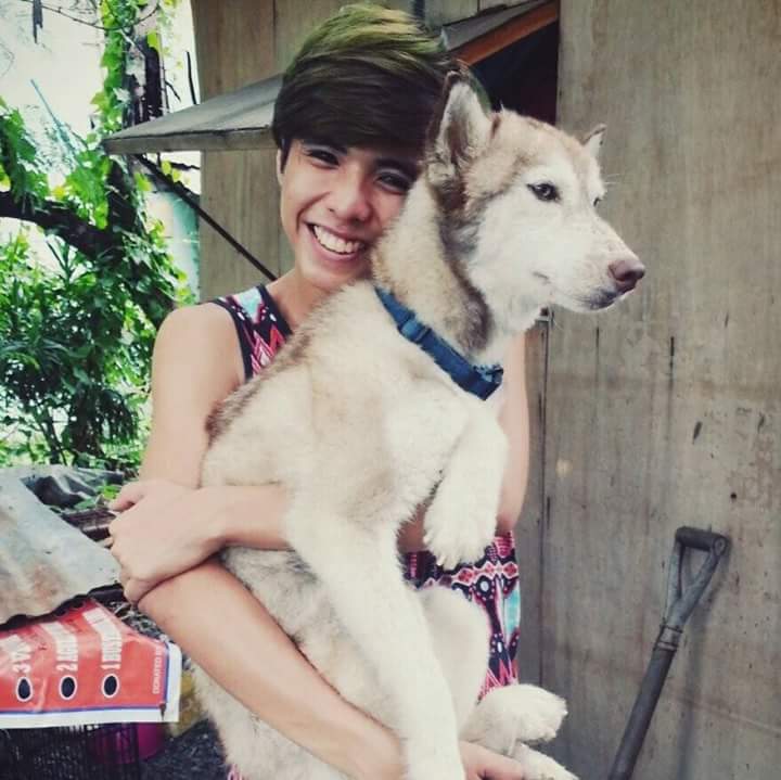 Asong gala at galisin noon, isang napakagandang aso na ngayon - The ...