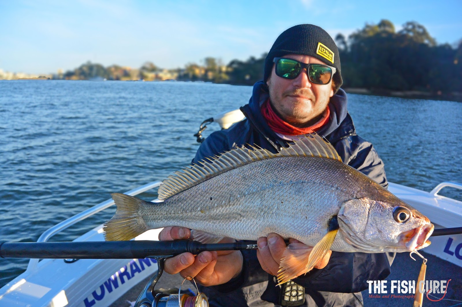 The Fish Cure: THE MULLOWAY CIRCLE