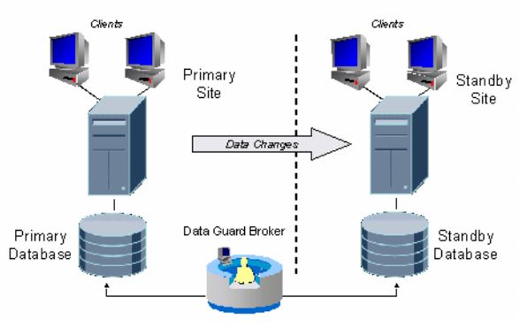 AIX for System Administrators: EXTRA - ORACLE ASM, RAC, DATA GUARD