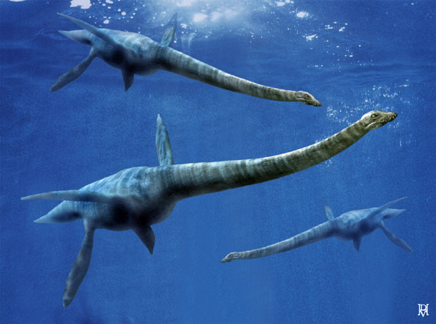 Species New to Science: [Paleontology • 2015] Vegasaurus molyi, gen. et ...