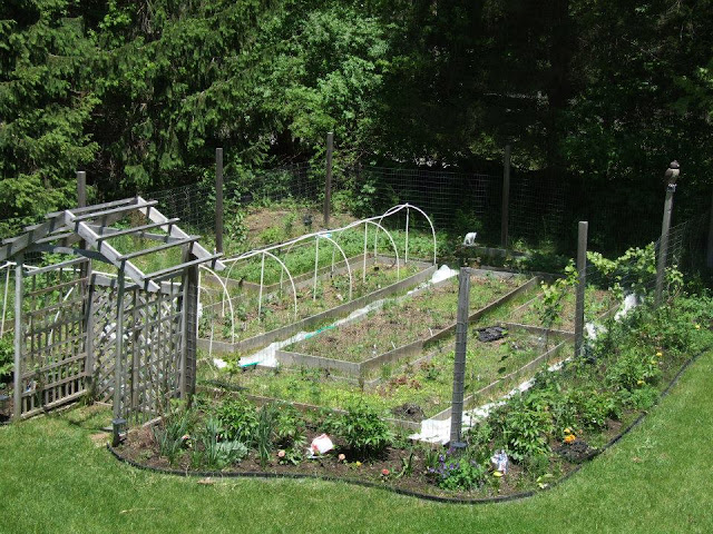 Simple Garden Made Easy: Gardening Journey