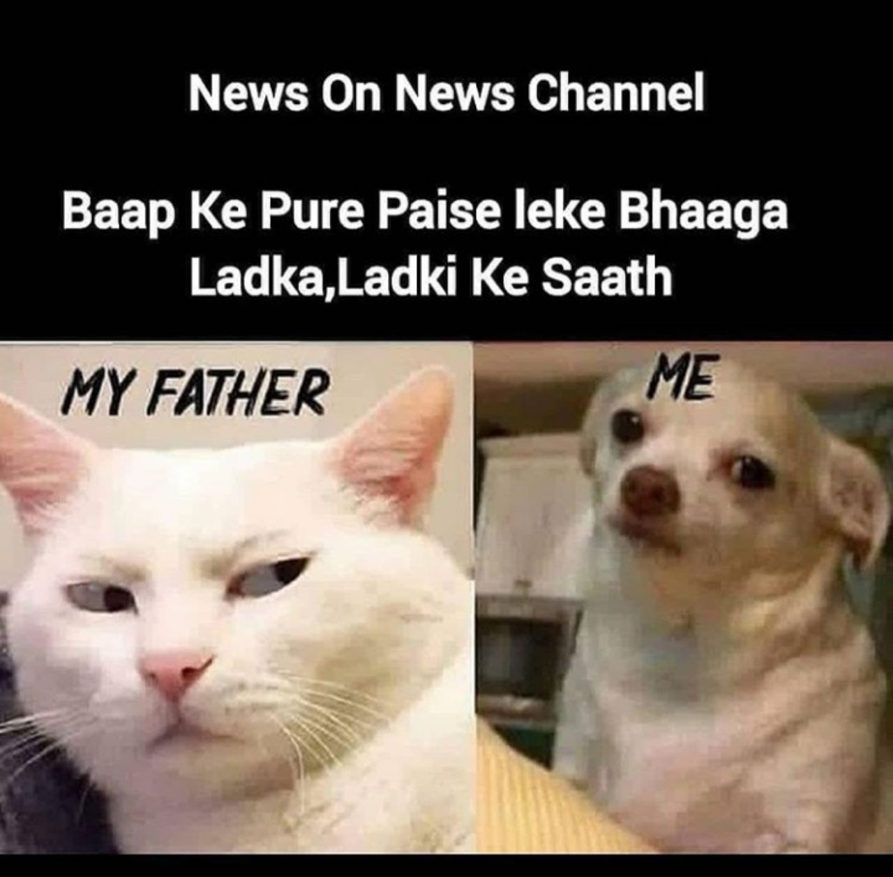 Mast Jokes Memes: Mast Memes| 40+ Best Funny Jokes| Memes for Fun ...