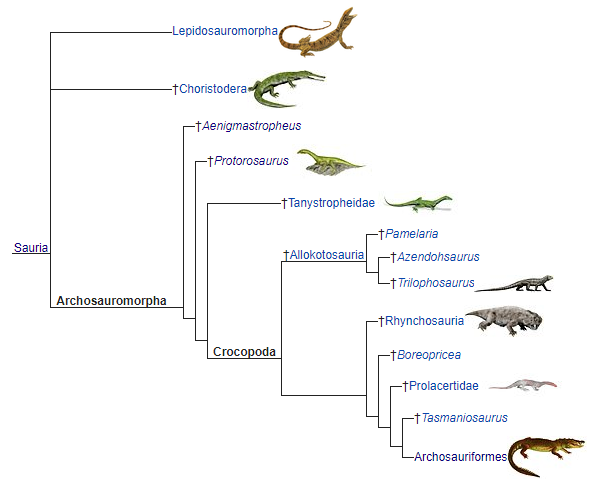 Coelho pré-Cambriano: Arcossauromorfos – Mortos, mas não esquecidos ...
